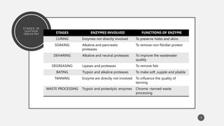 ENZYMES IN LEATHER INDUSTRY.pptx
