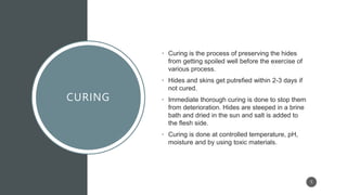 ENZYMES IN LEATHER INDUSTRY.pptx