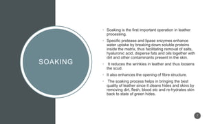 ENZYMES IN LEATHER INDUSTRY.pptx