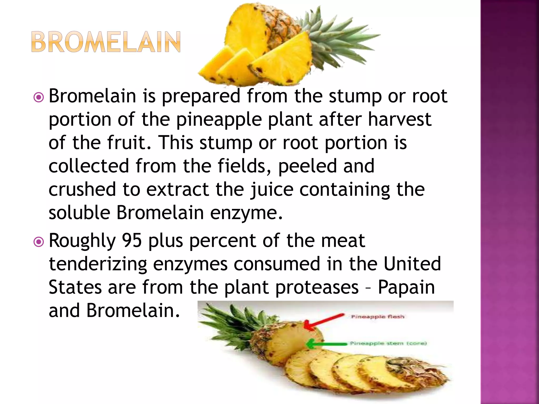 Enzymes in meat industry | PPTX