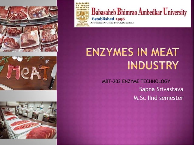 Enzymes in meat industry | PPTX