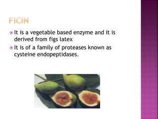 Enzymes in meat industry | PPTX