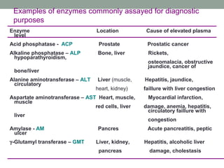 Medicinal Enzyme and Nucleotide | PPT