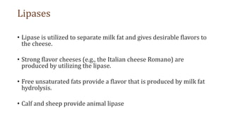 Enzymes in milk and cheese about the rennet and renin.pptx