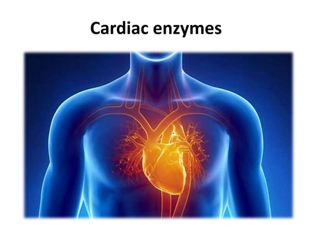 Markers and Enzymes in Myocardial Infraction | PPTX | Heart and ...