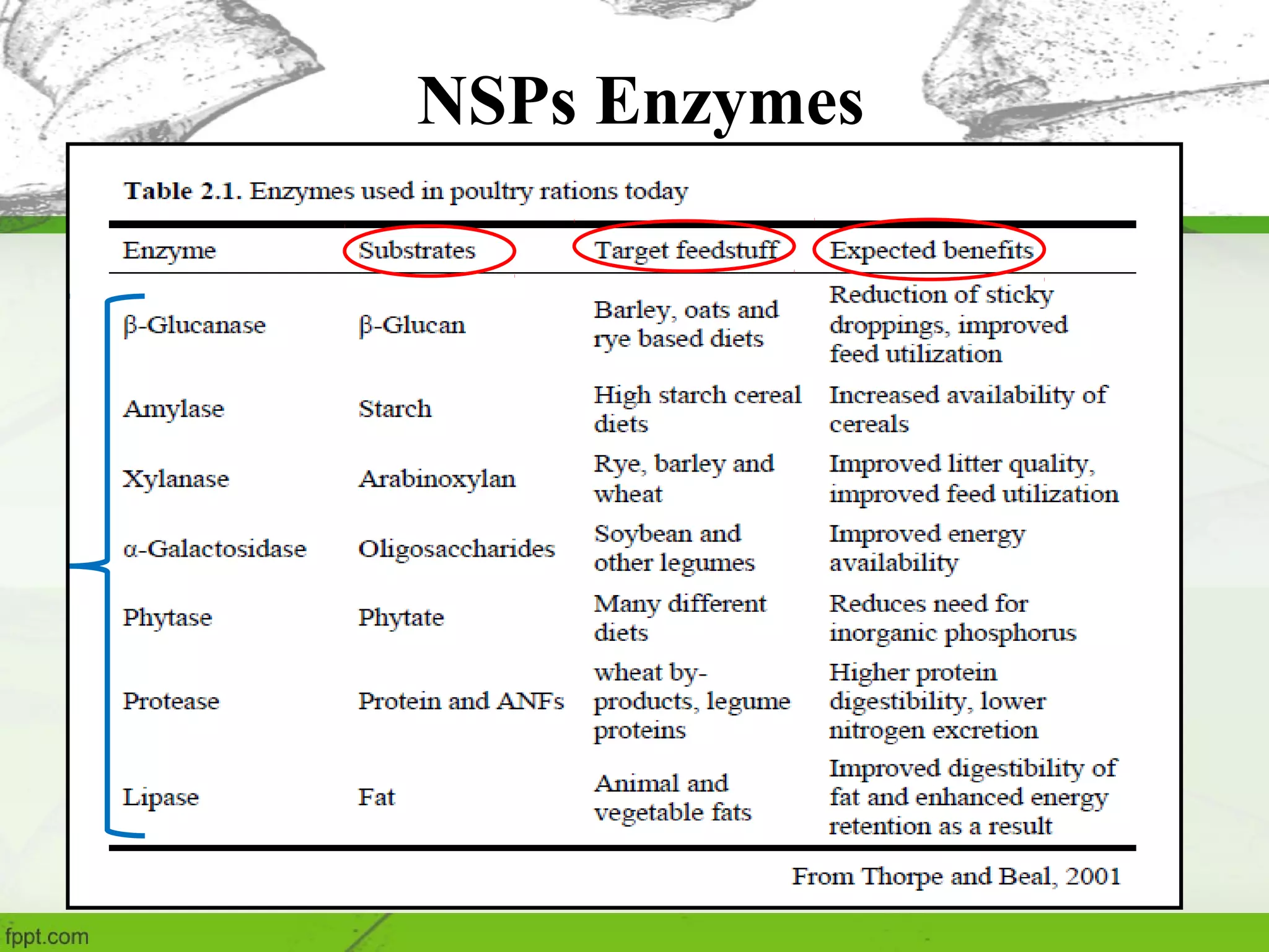 Enzymes in poultry nutrition- Mohammad Behroozlak | PPT