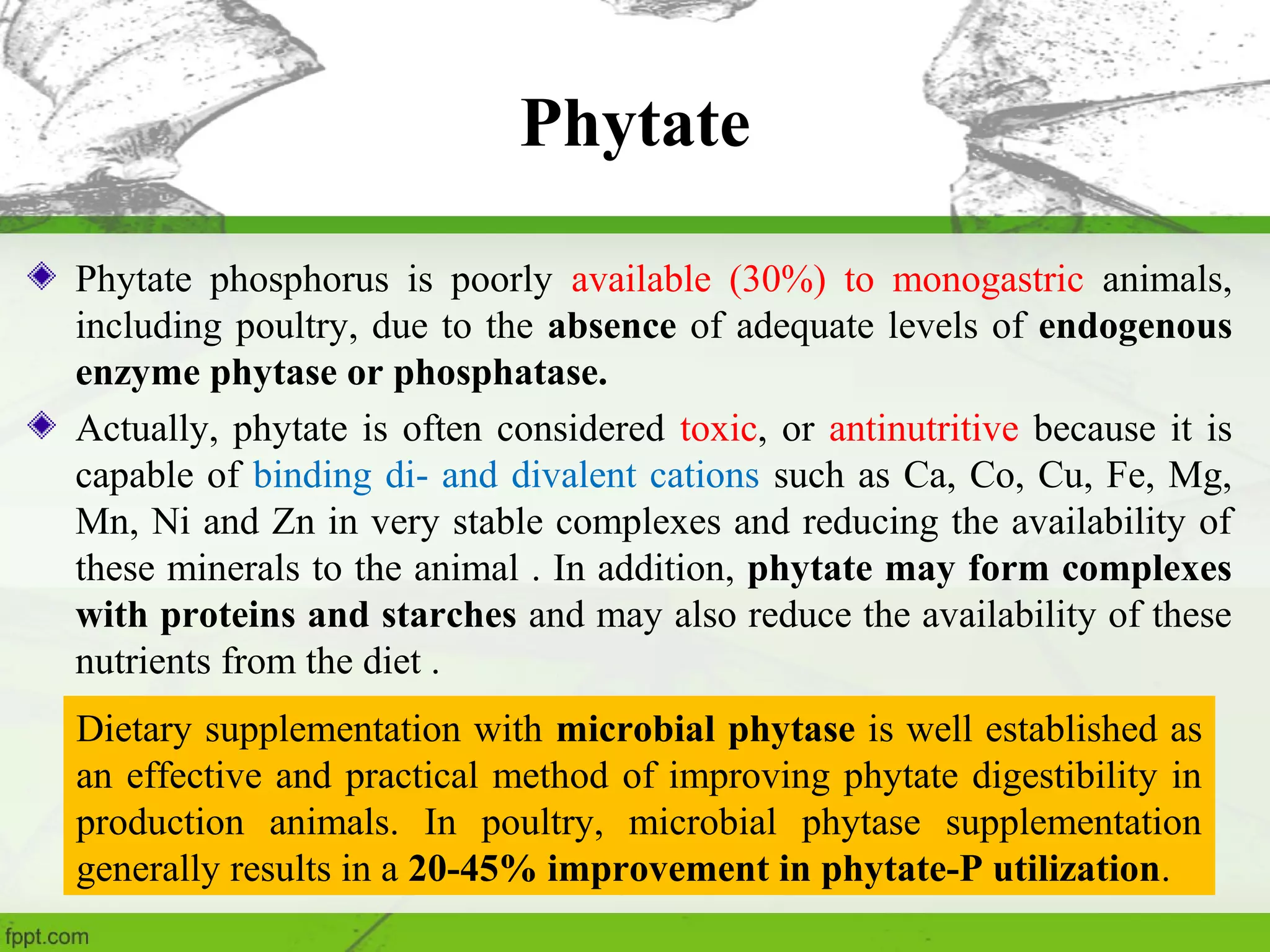 Enzymes in poultry nutrition- Mohammad Behroozlak | PPT
