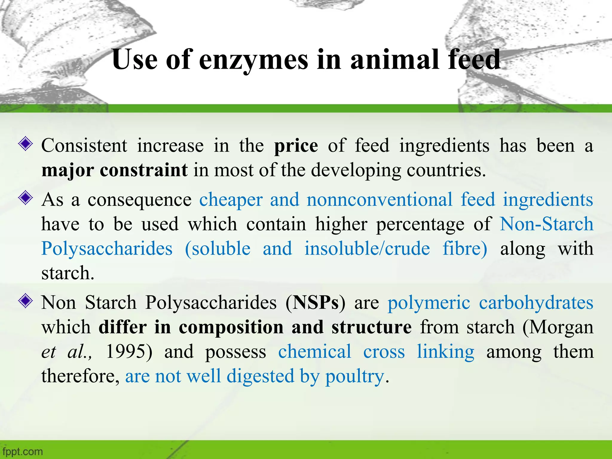 Enzymes in poultry nutrition- Mohammad Behroozlak | PPT