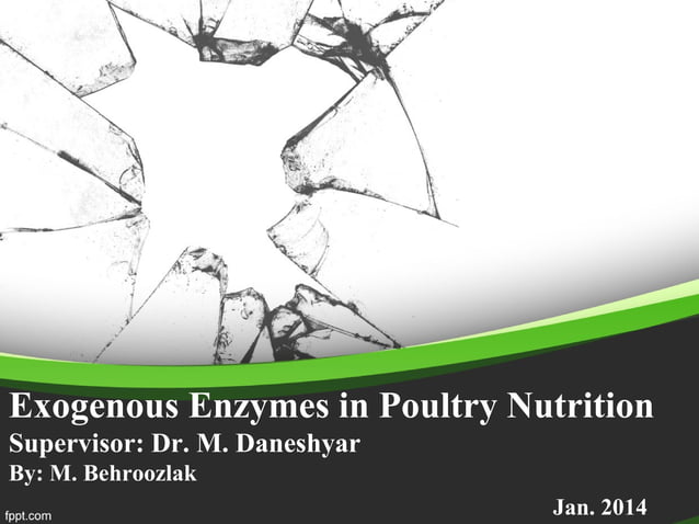 Enzymes in poultry nutrition- Mohammad Behroozlak | PPT