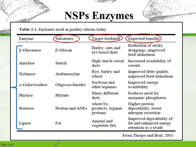 Enzymes in poultry nutrition- Mohammad Behroozlak | PPT