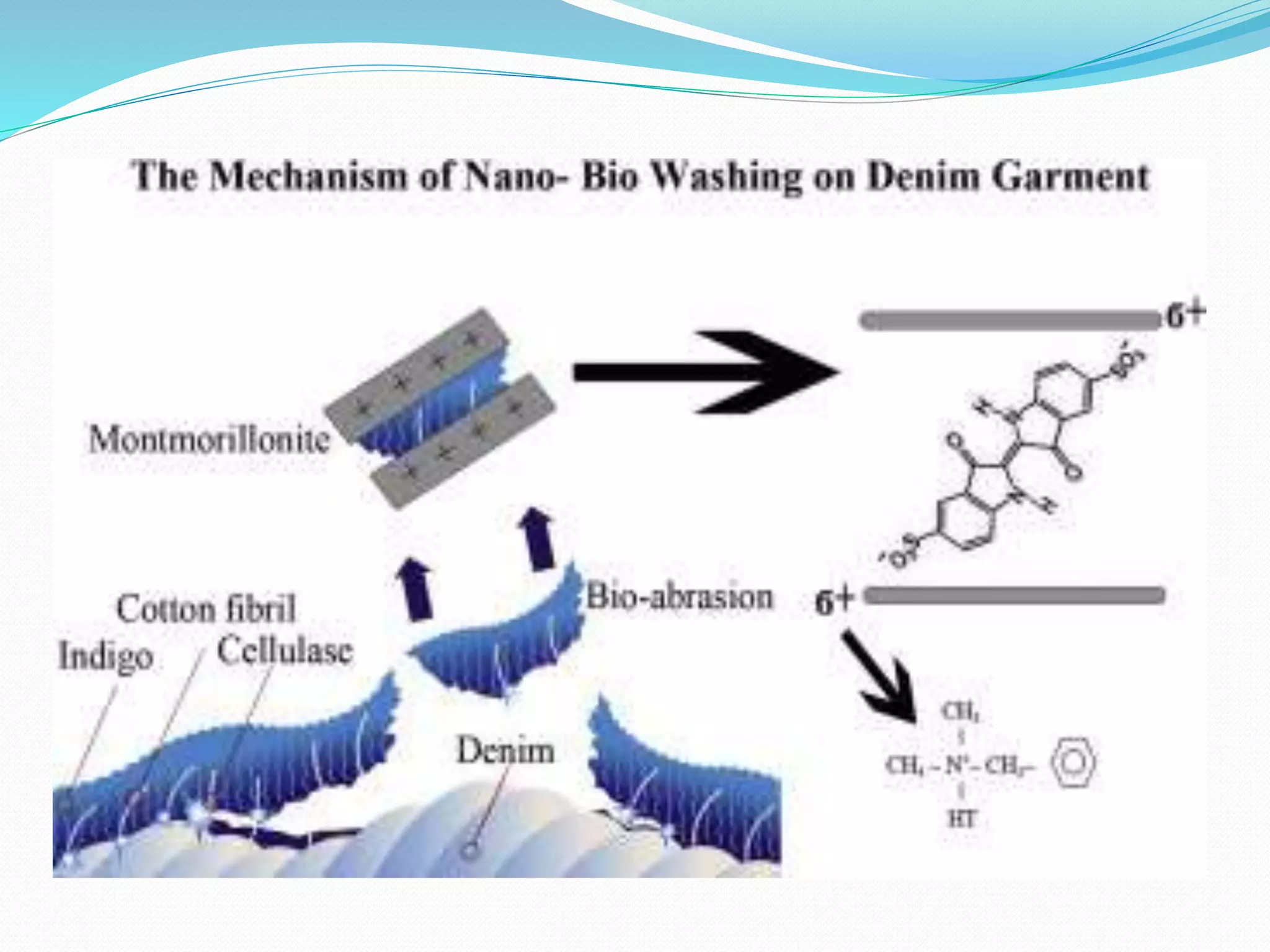 Enzymes in textiles | PPTX
