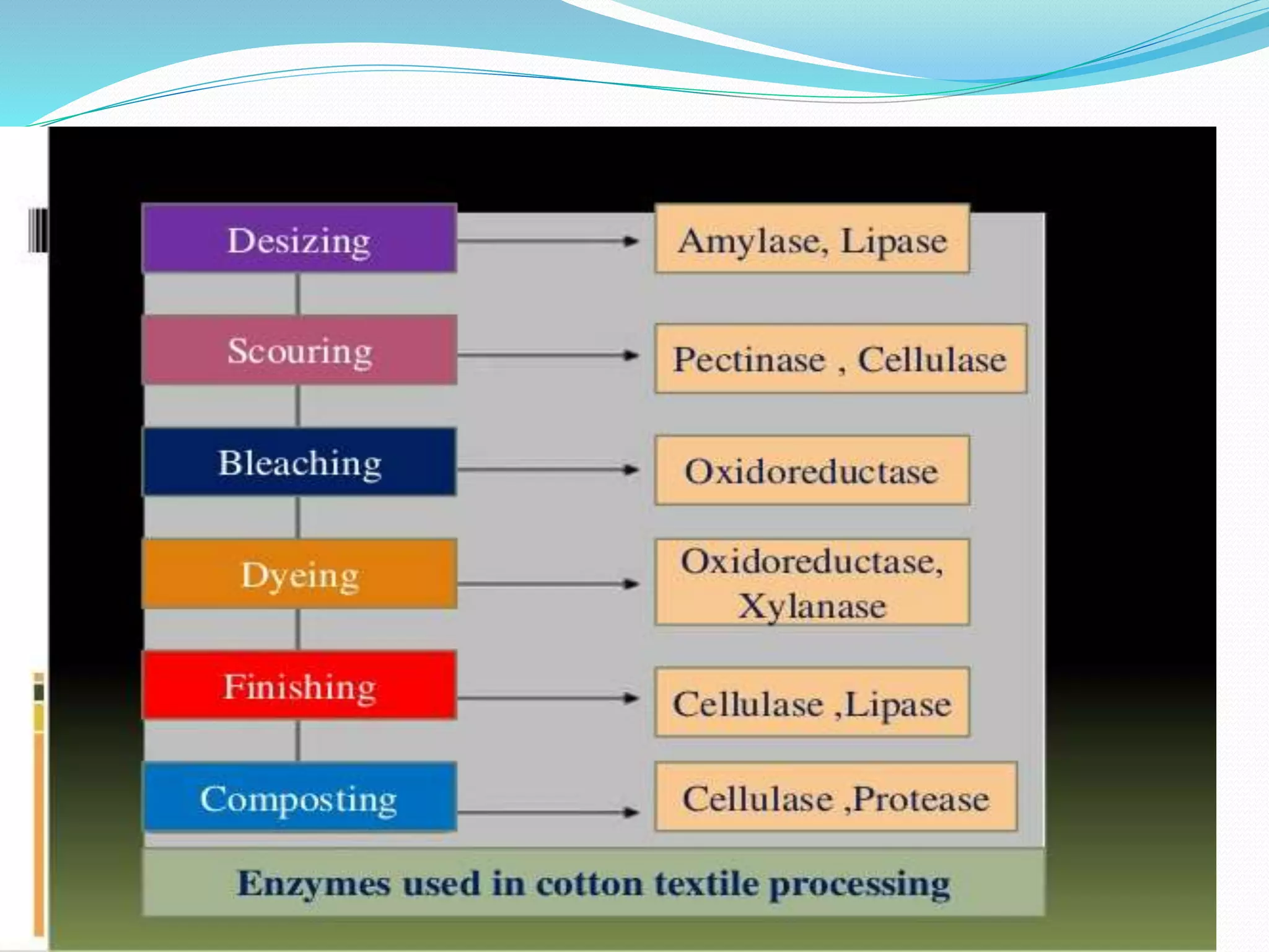 Enzymes in textiles | PPTX