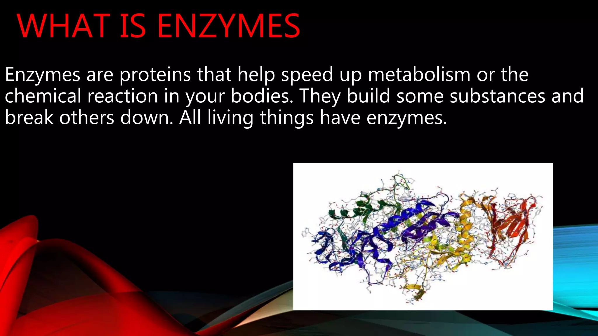 Enzymes in the body | PPTX