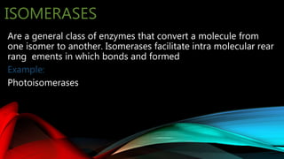 Enzymes in the body | PPTX