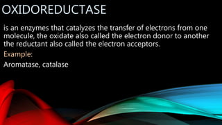Enzymes in the body | PPTX