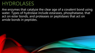 Enzymes in the body | PPTX