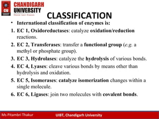 Enzymes introduction | PPT