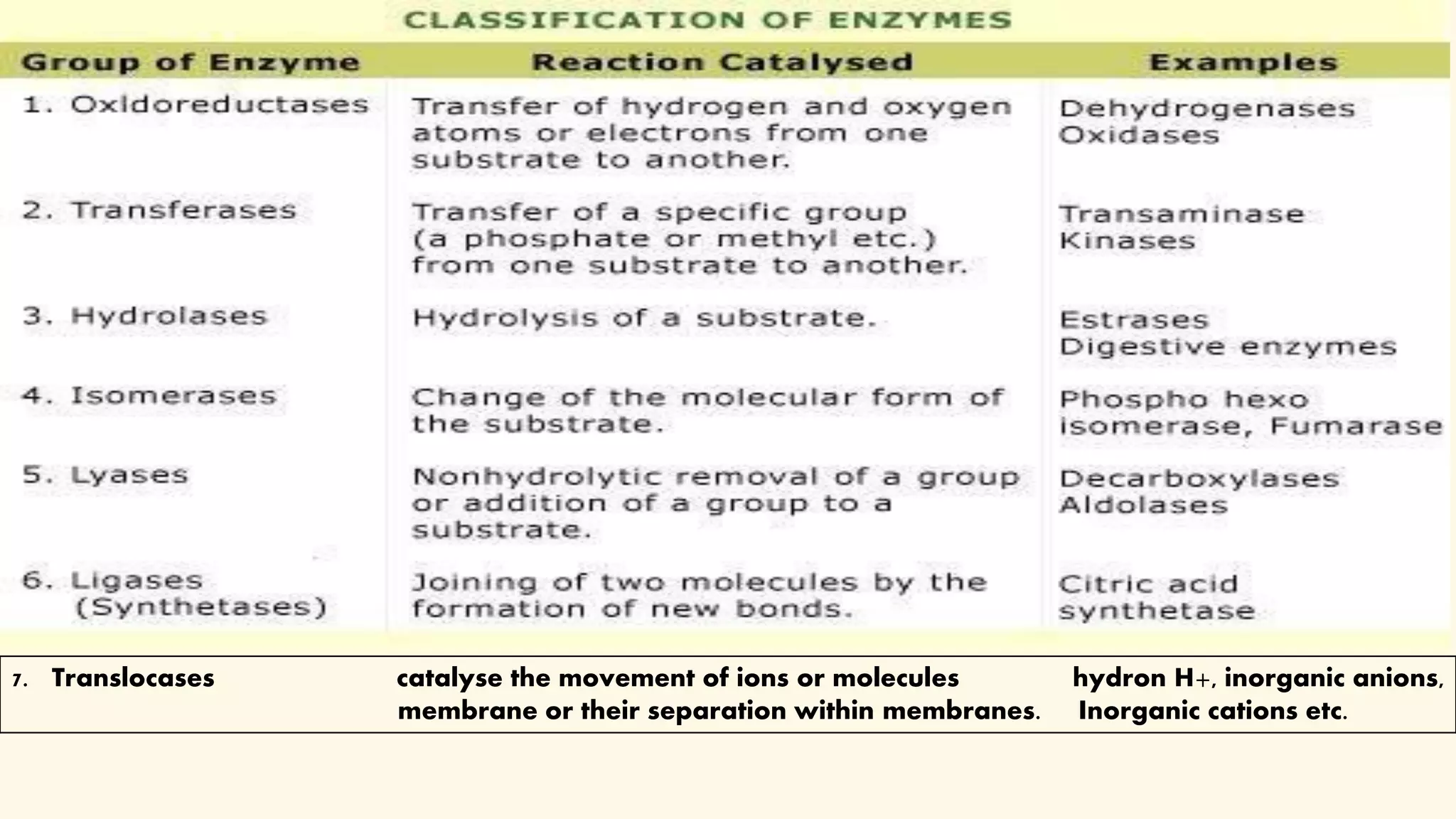 Enzymes(introduction,nomenclature and classification) | PDF