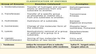 Enzymes(introduction,nomenclature and classification) | PDF | Chemistry ...