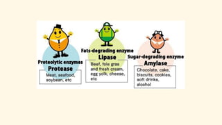 Enzymes(introduction,nomenclature and classification) | PDF