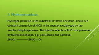 Enzymes involved in BO.pptx