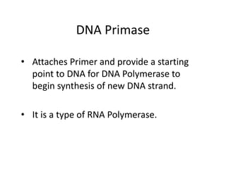 Enzymes involved in dna replication | PPTX