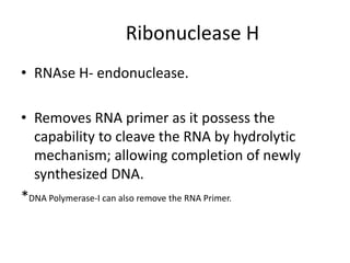 Enzymes involved in dna replication | PPTX