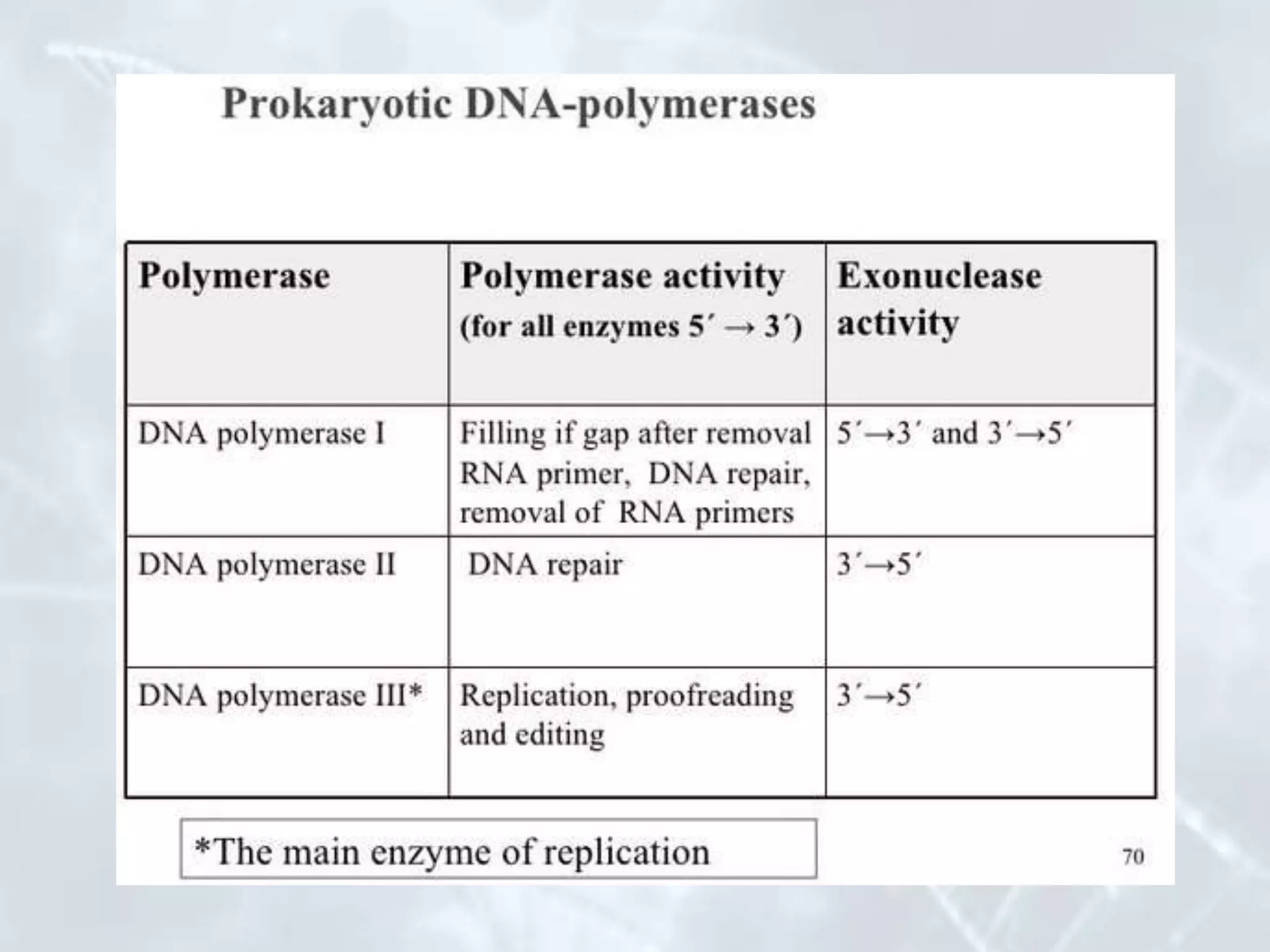 Enzymes Involved In Dna Replication Pptx