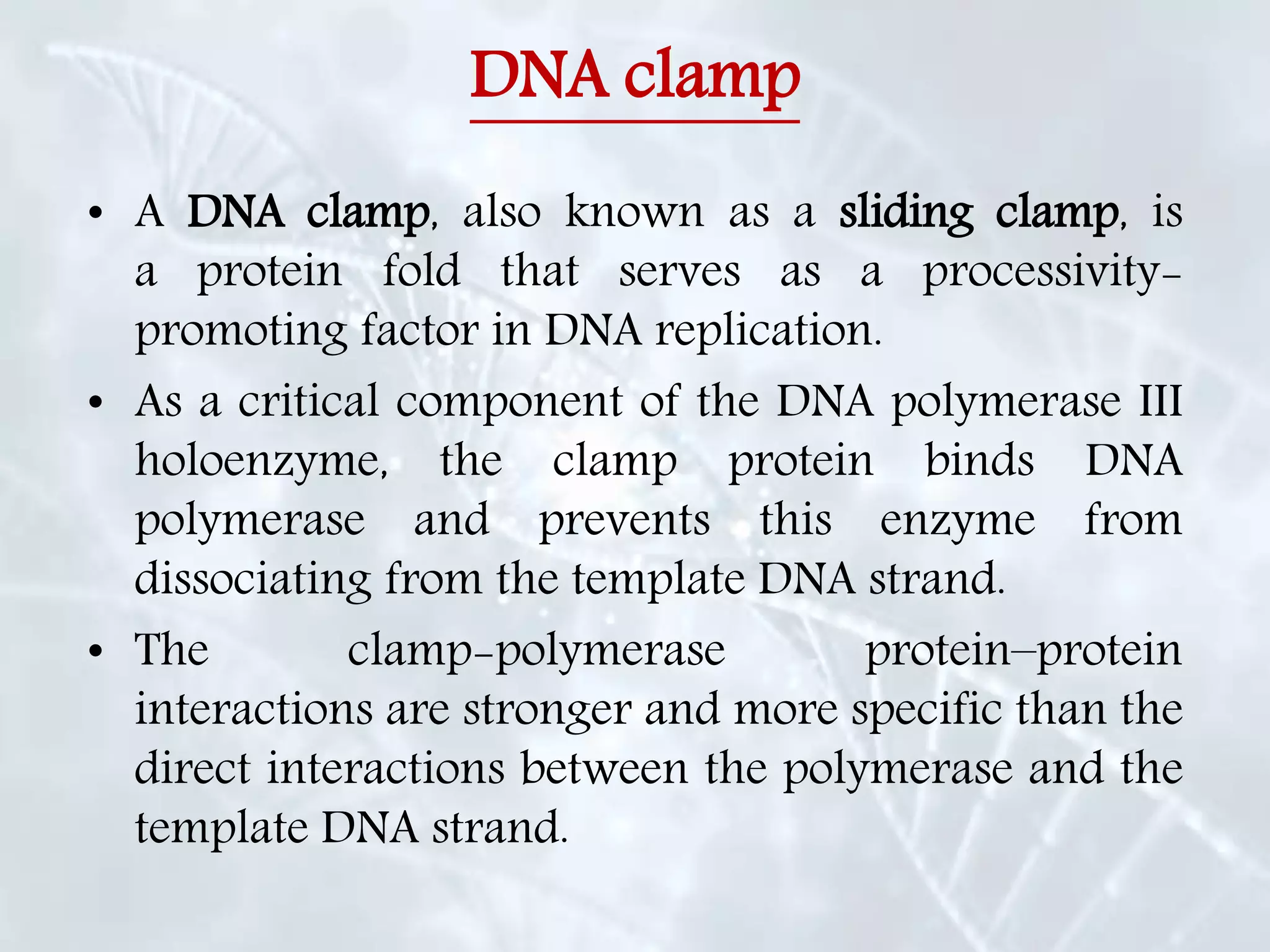 Enzymes involved in dna replication | PPTX