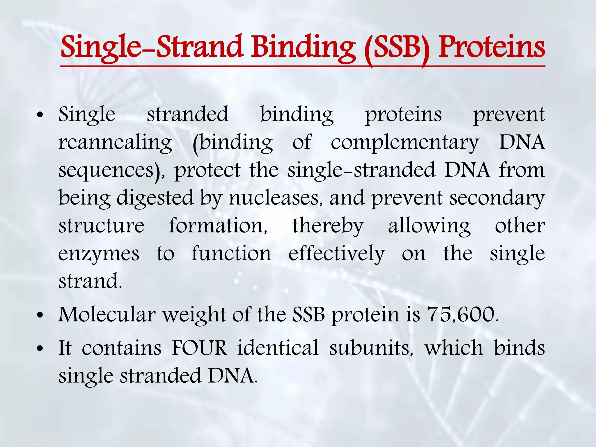 Enzymes involved in dna replication | PPTX