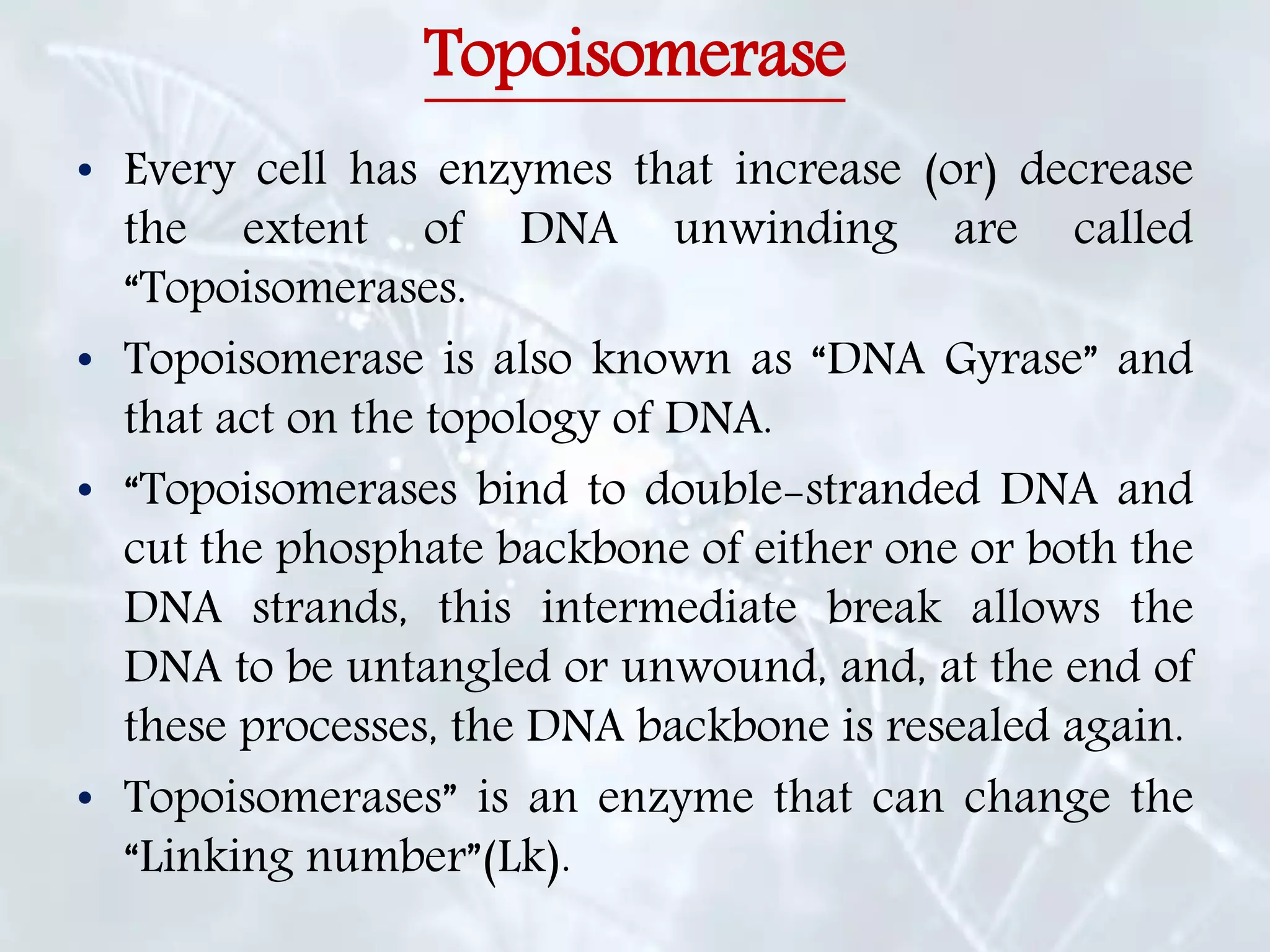 Enzymes involved in dna replication | PPTX