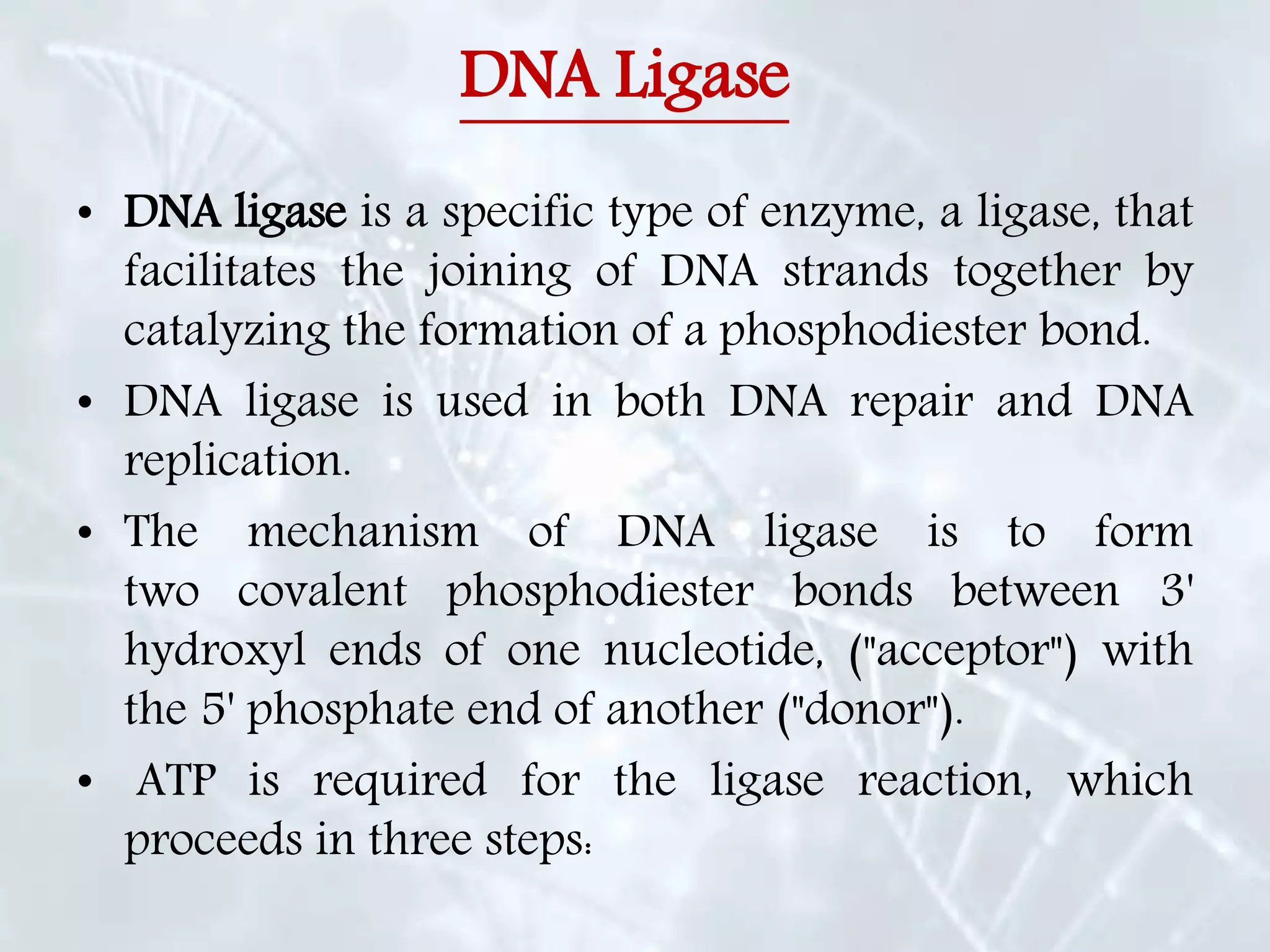 Enzymes involved in dna replication | PPTX