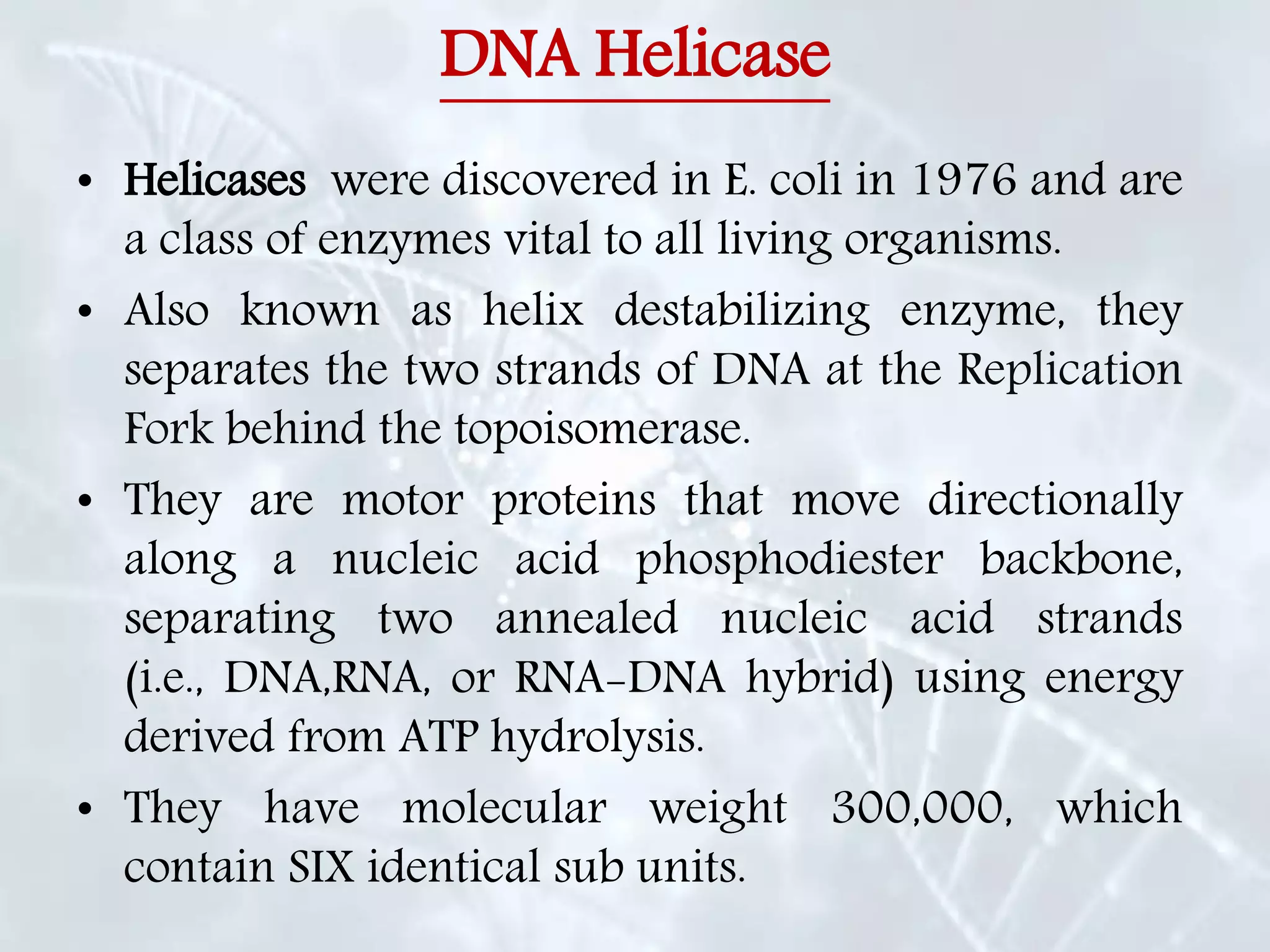 Enzymes involved in dna replication | PPTX