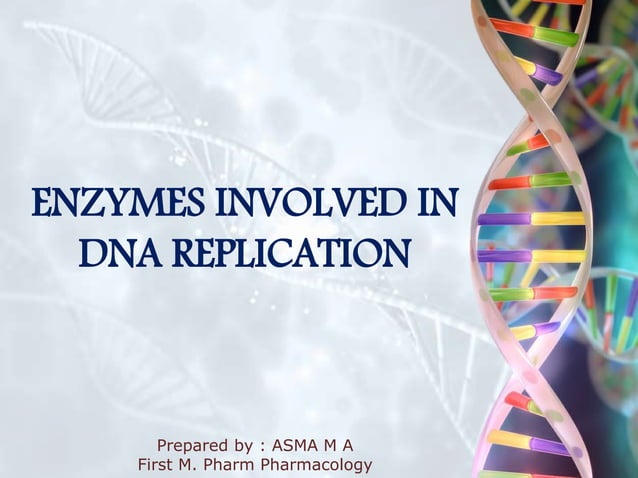 Enzymes involved in dna replication | PPTX | Chemistry | Science