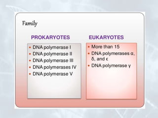 Enzymes involved in dna replication | PPTX