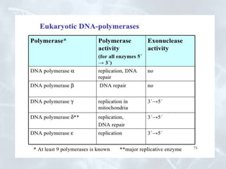 Enzymes involved in dna replication | PPTX
