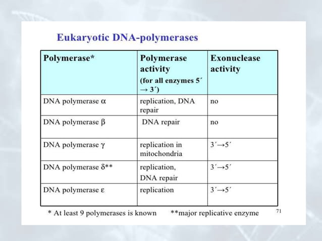 Enzymes involved in dna replication | PPTX | Chemistry | Science