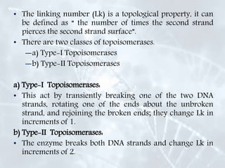 Enzymes involved in dna replication | PPTX
