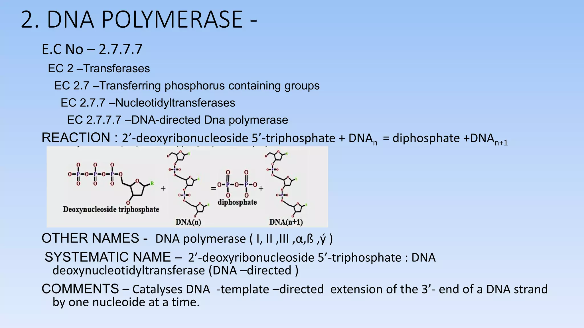 Enzymes involved in DNA replication | PPTX