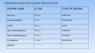 Enzymes involved in DNA replication | PPTX