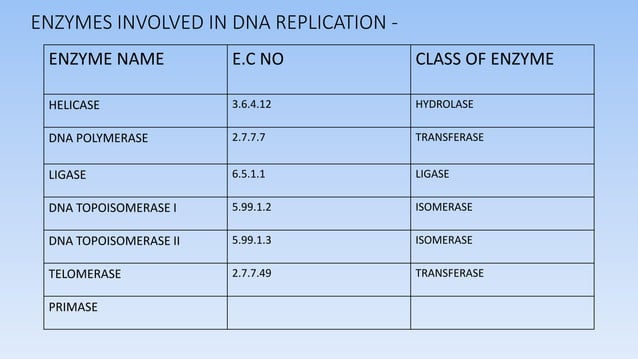 Enzymes involved in DNA replication | PPTX