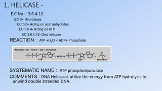 Enzymes involved in DNA replication | PPTX
