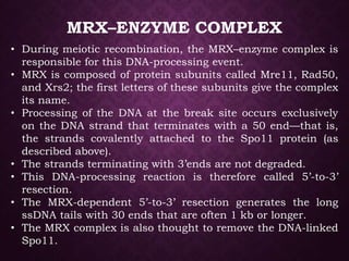 Enzymes involved in homologous recombination.pdf