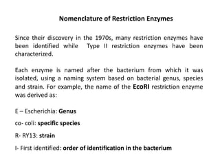 Enzymes involved in rDNA technology.pptx