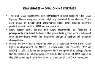 Enzymes involved in rDNA technology.pptx