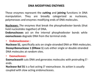 Enzymes involved in rDNA technology.pptx