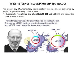 Enzymes involved in rDNA technology.pptx