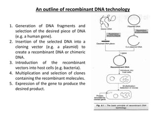Enzymes involved in rDNA technology.pptx