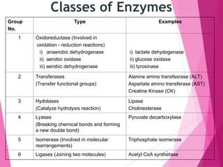 Enzymes and their action Introduction L-1.ppt