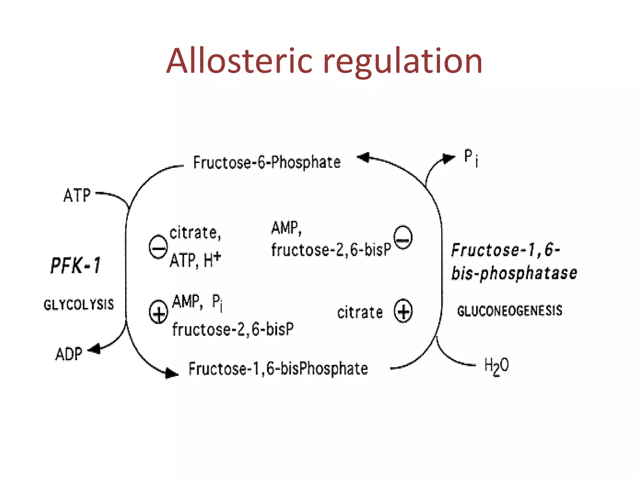 Enzymes Lec-IV (1).pdf